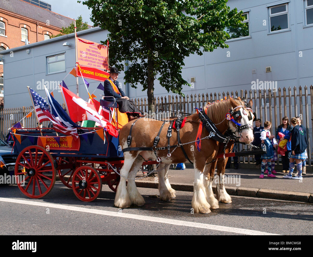 Regalia lilies hi-res stock photography and images - Alamy