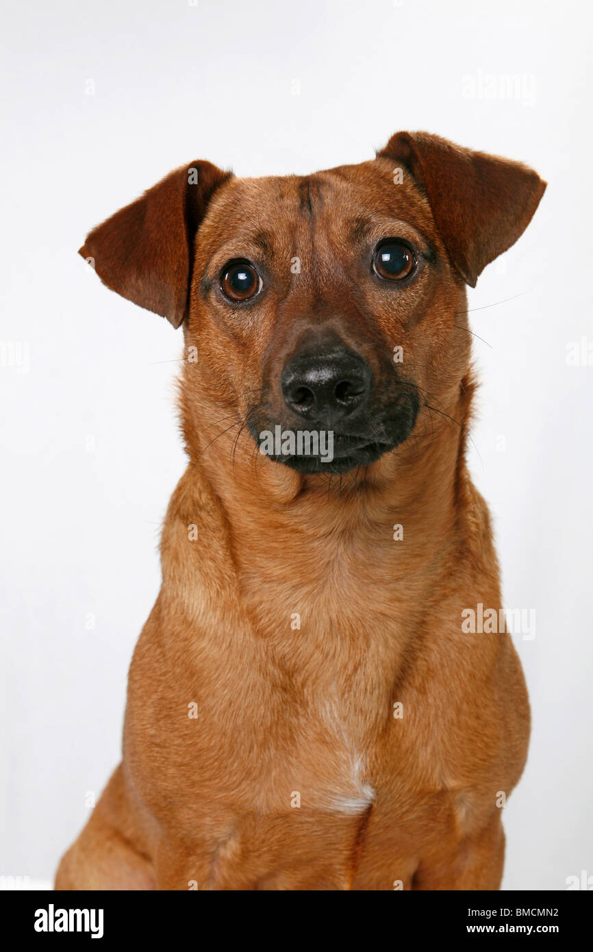 Rr 10831 hi-res stock photography and images - Alamy