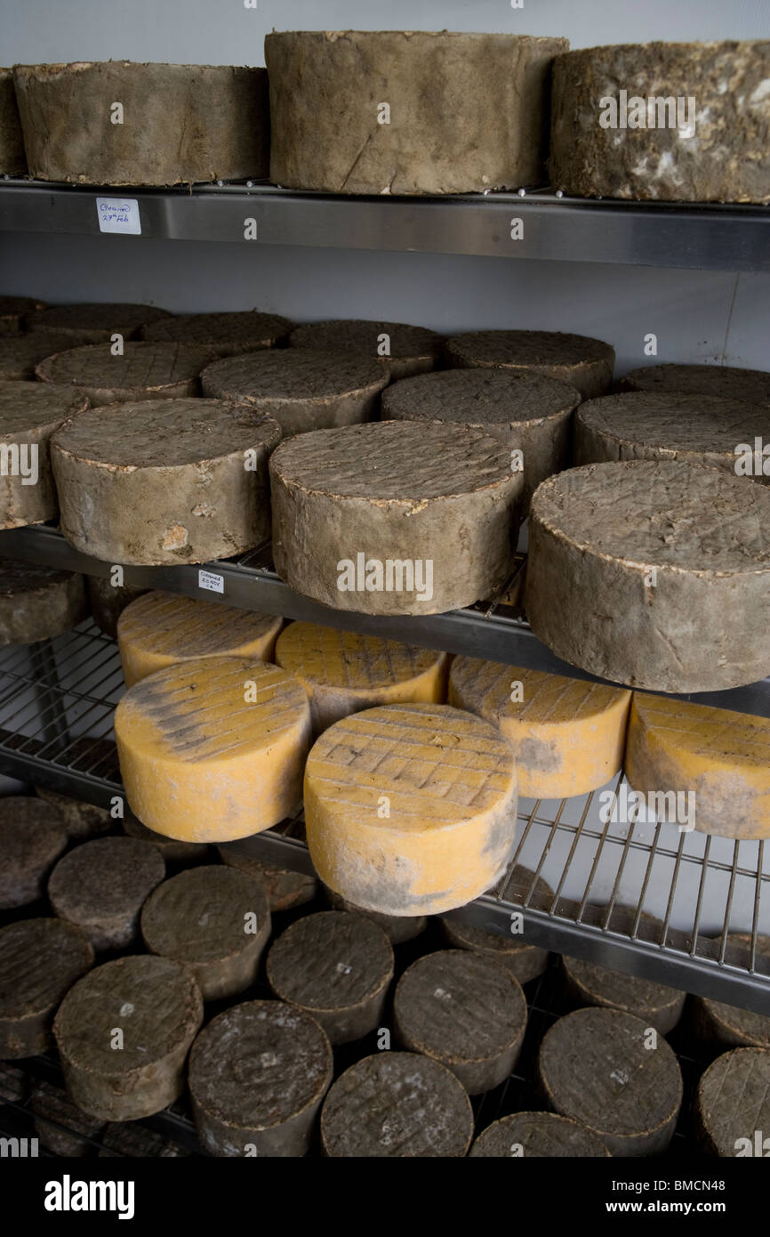 Cheeses in dairy storage room hi-res stock photography and images - Alamy