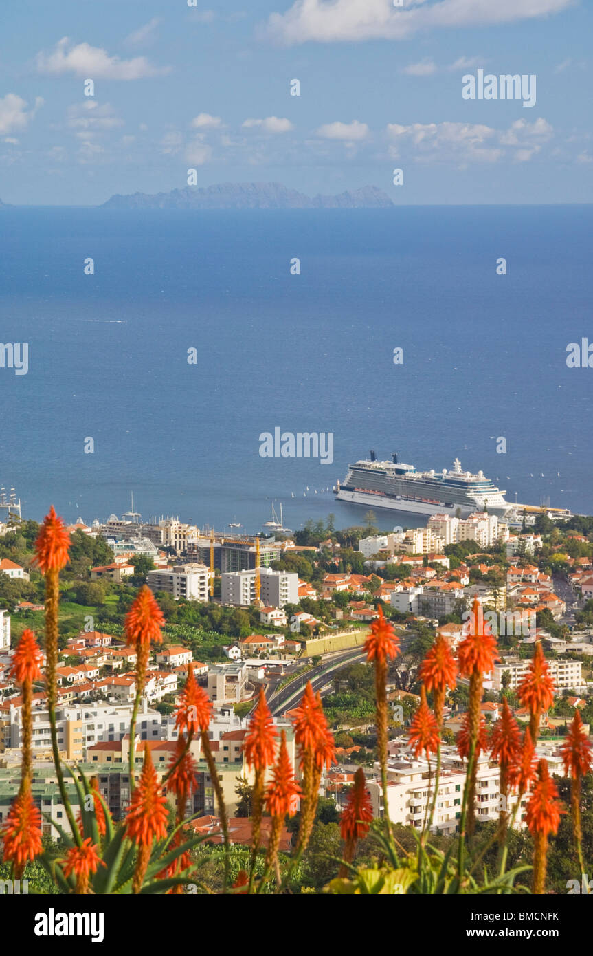 Funchal harbour with cruise ship, and city, island of Madeira, Portugal ...