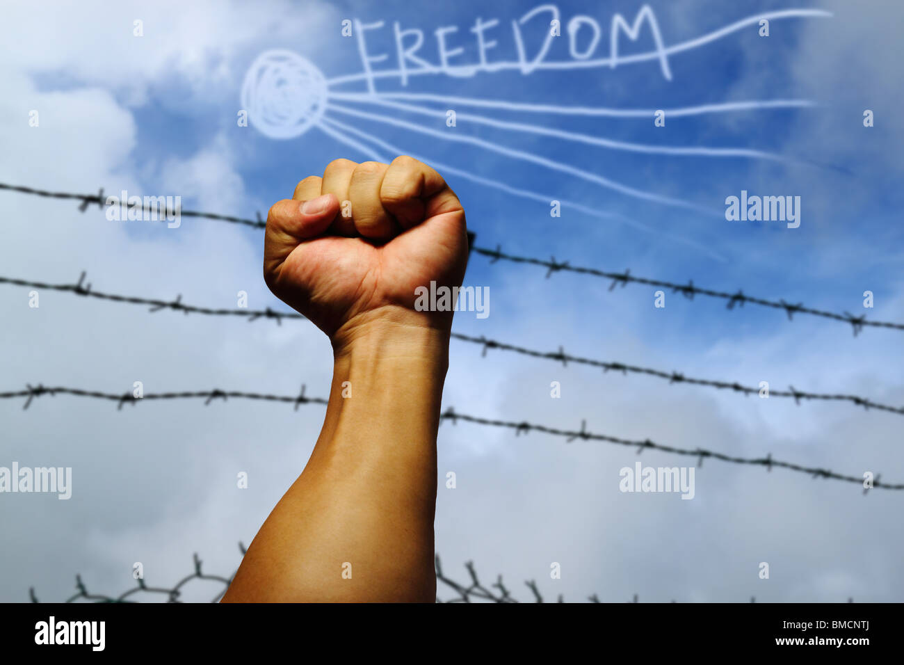 Razor Fist High Resolution Stock Photography and Images - Alamy
