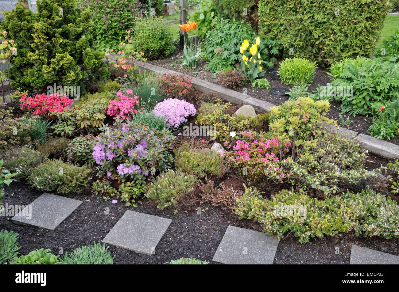 Bog garden plants hi-res stock photography and images - Alamy