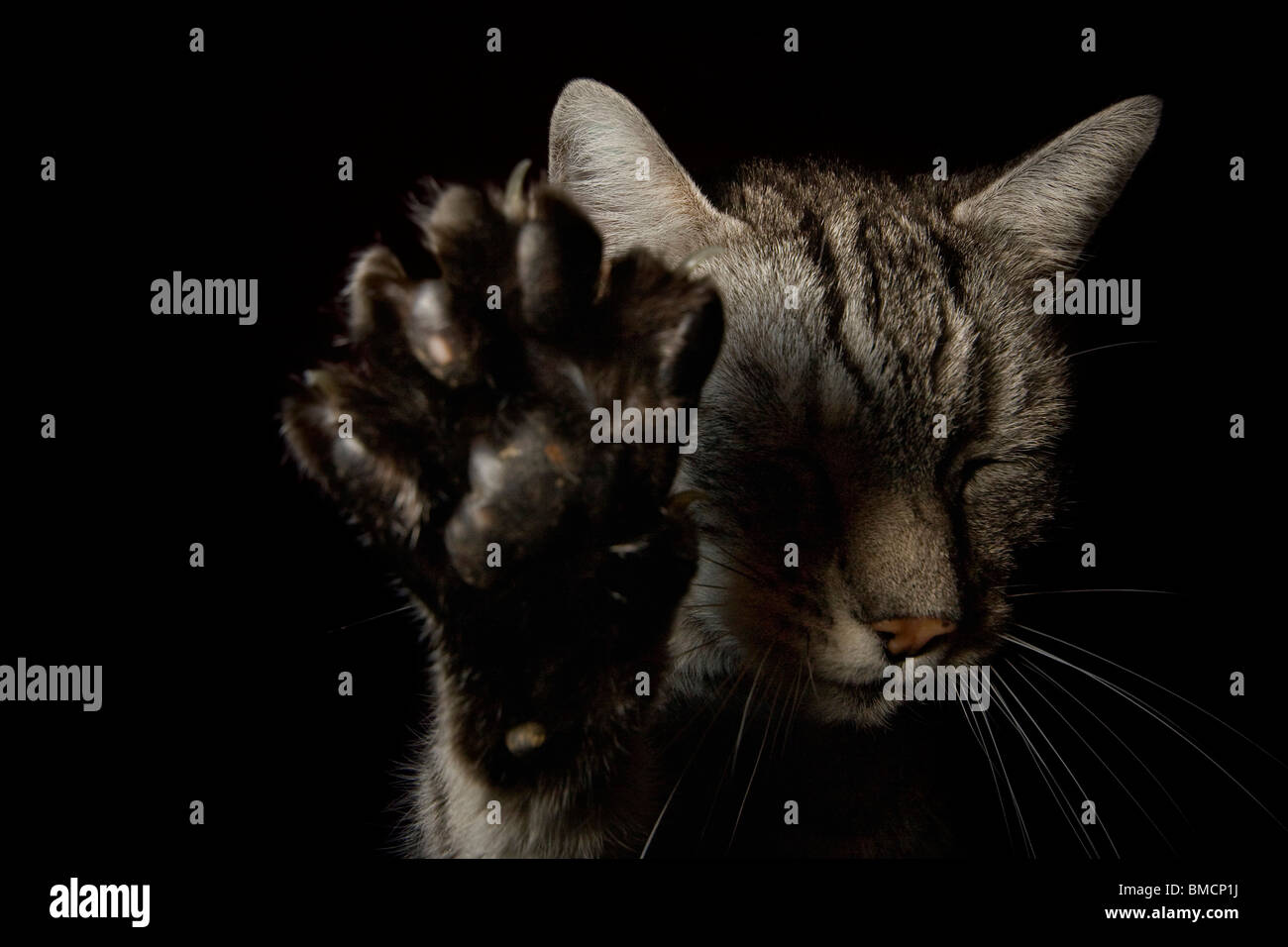 The conjuring house hi-res stock photography and images - Alamy