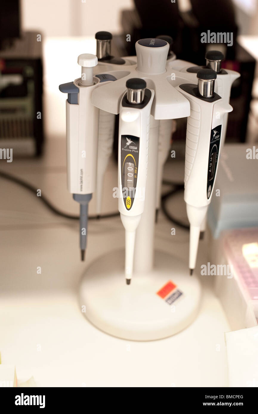 Micropipettes on a stand Stock Photo - Alamy