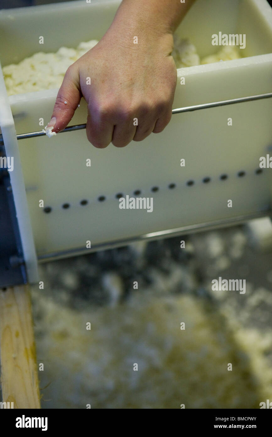 Single gloucester hi-res stock photography and images - Alamy