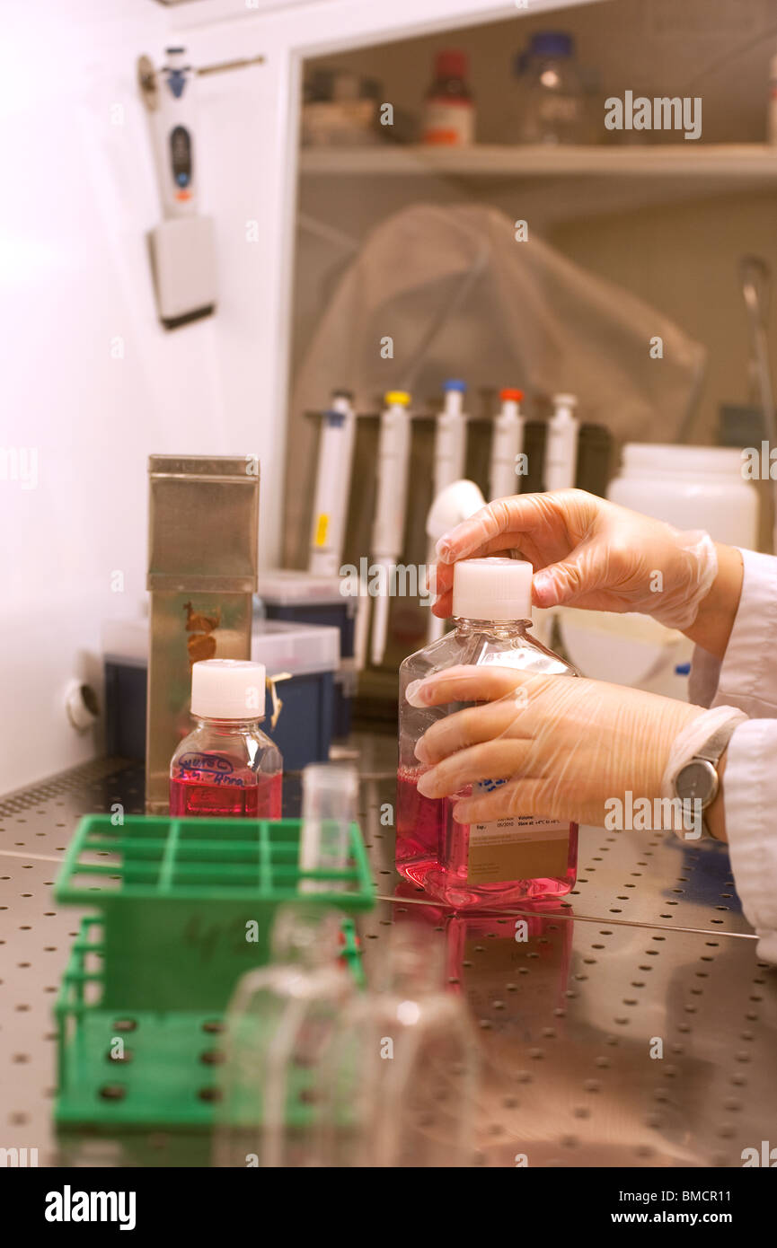 Laminar scientist hi-res stock photography and images - Alamy