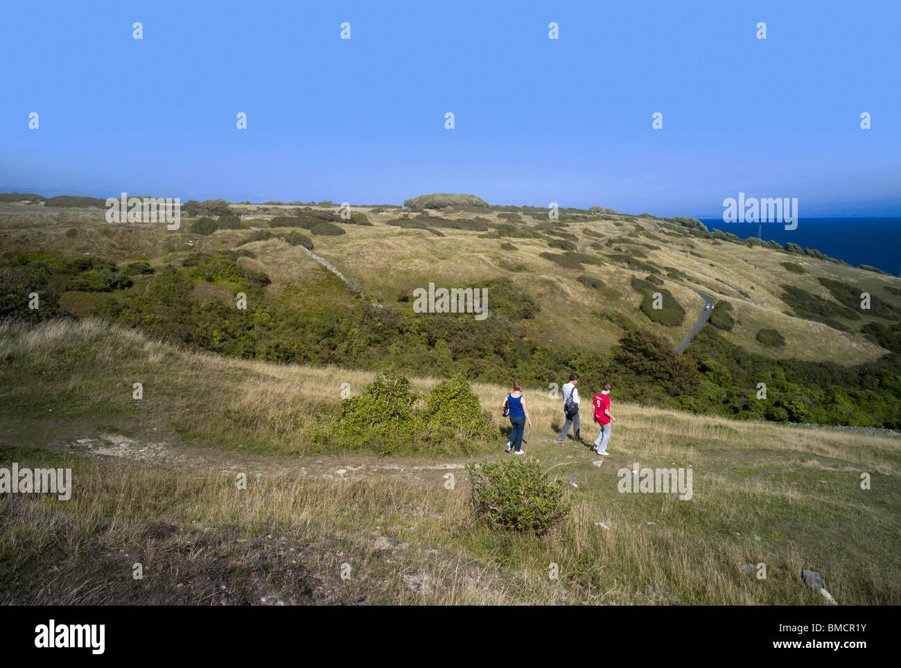 view of & from the south west coast path in dorset. durlston head ...