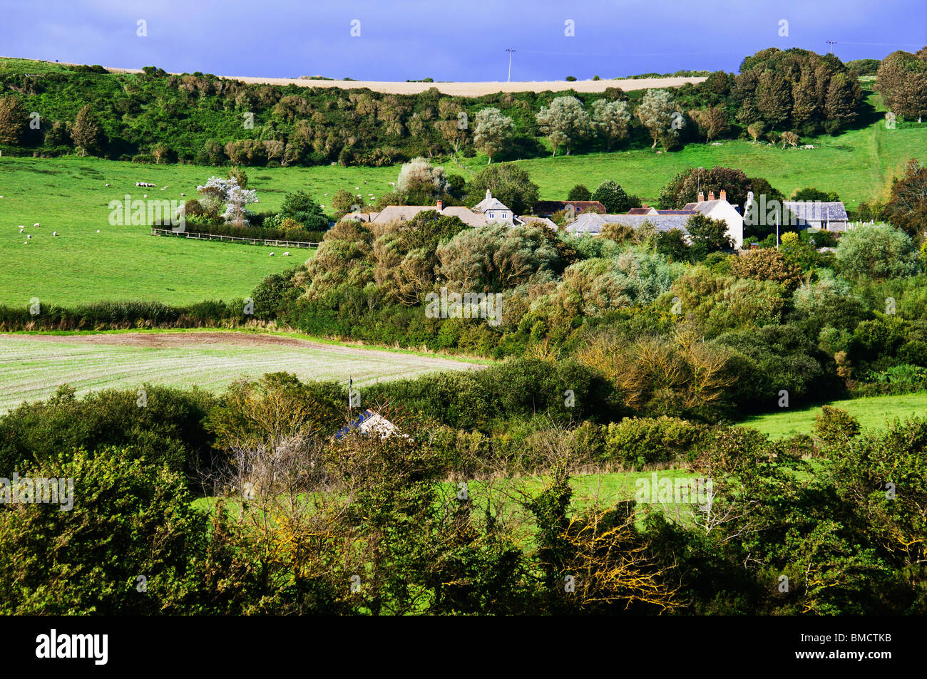the view over dorset countryside from whiteways hill on army training ...