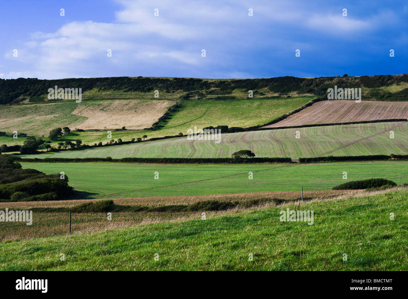 the view over dorset countryside from whiteways hill on army training ...