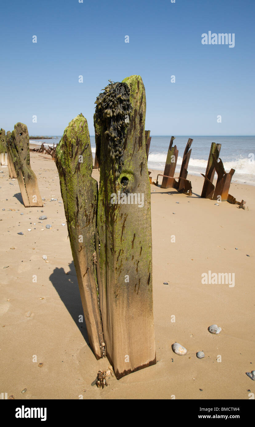 Wooden posts and twisted rusty metal along Happisburgh seashore ...