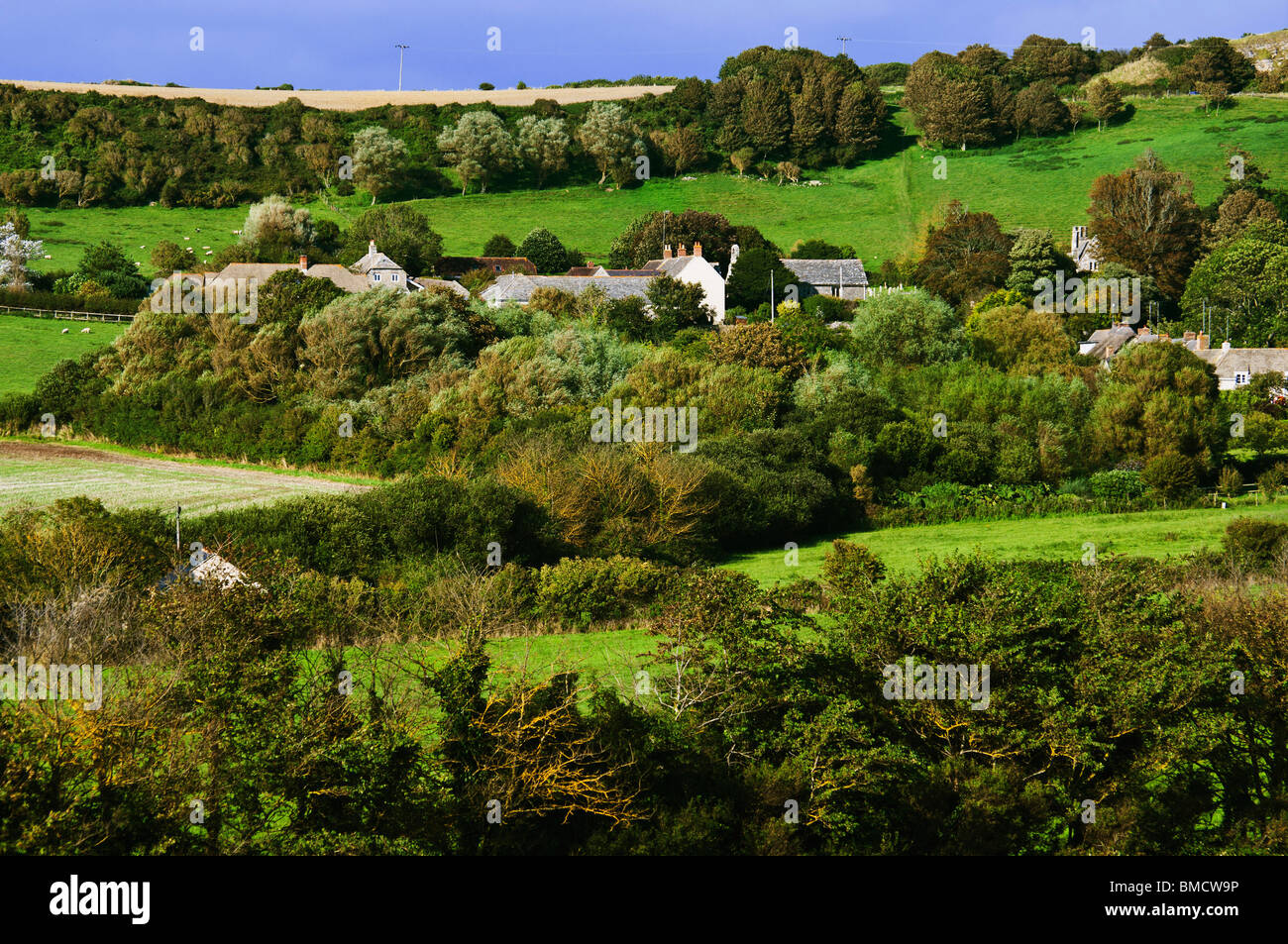 the view over dorset countryside from whiteways hill on army training ...