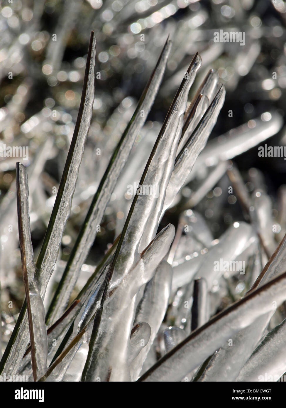 Glitter spikes hi-res stock photography and images - Alamy