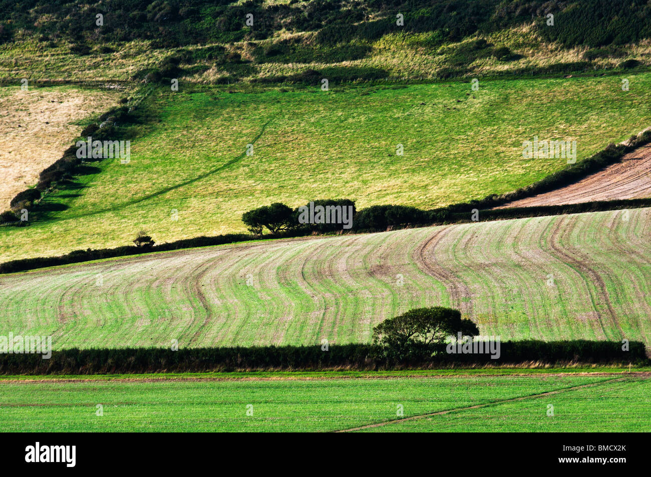 the view over dorset countryside from whiteways hill on army training ...