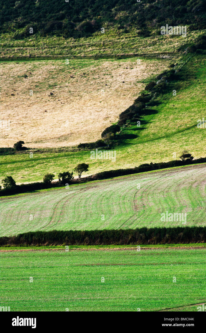 the view over dorset countryside from whiteways hill on army training ...