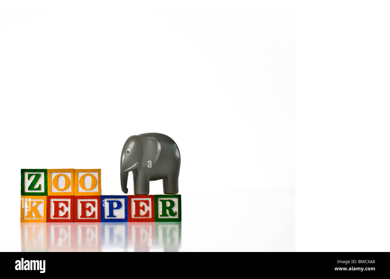 Lion Zookeeper Joe The Name