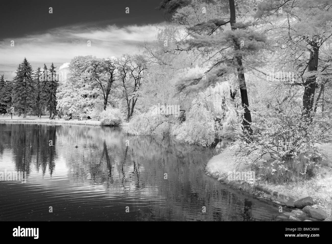 Landscape - photography in infrared Stock Photo - Alamy