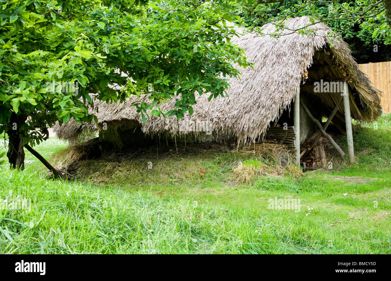 The Iron Age Roundhouse in the TWIGS gardens in Swindon, Wiltshire ...