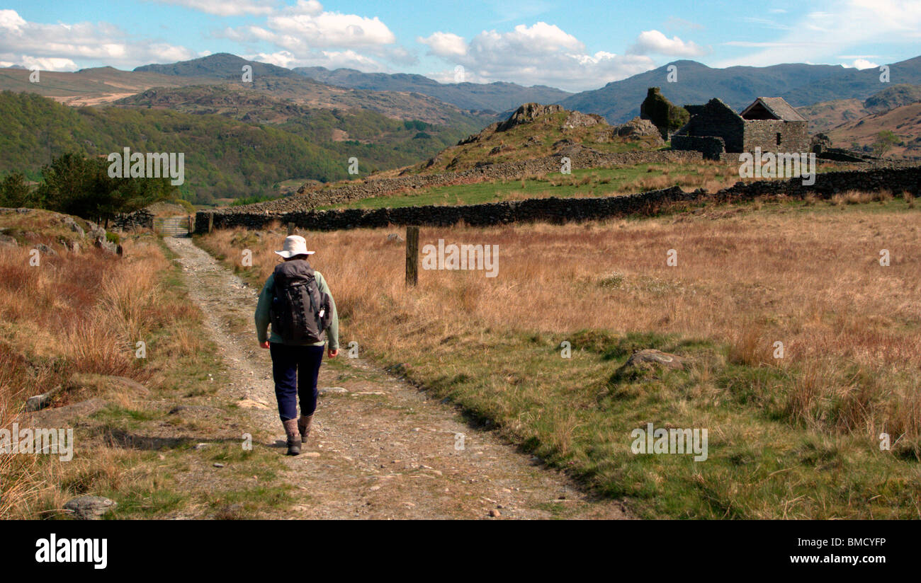 Walker on old coach road, Beckstones to Millbrow, near Ulpha. Lake ...