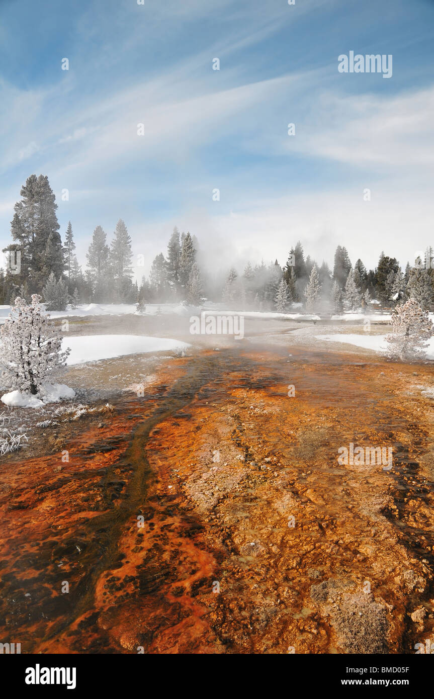 Geyser yellowstone snow hi-res stock photography and images - Alamy