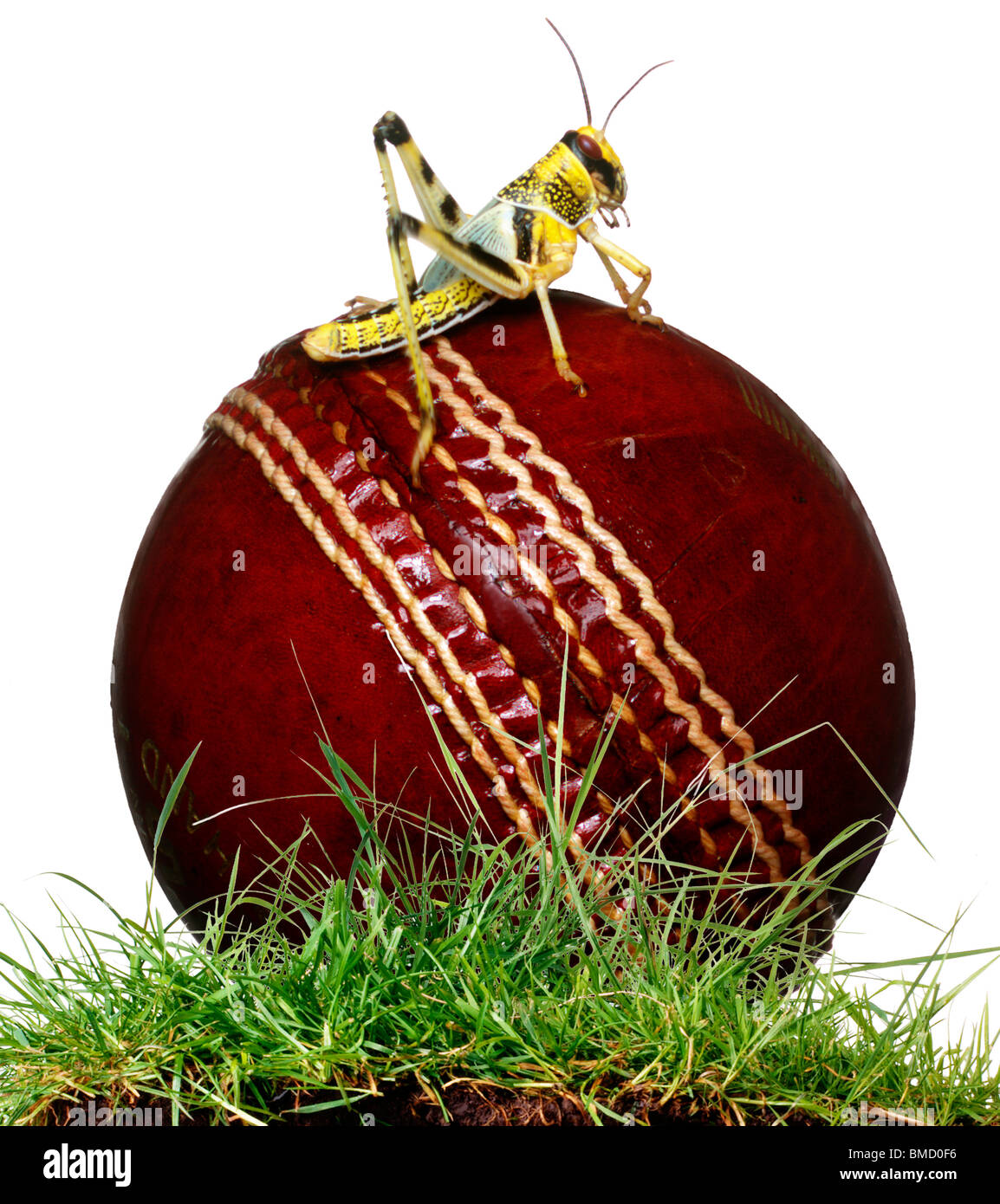 British ball hi-res stock photography and images - Alamy