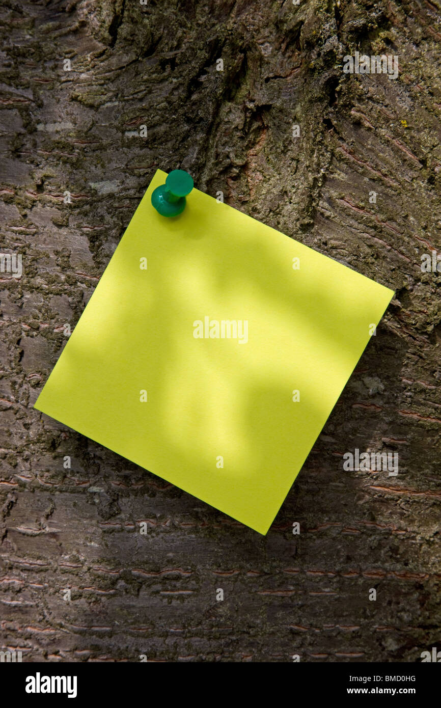A post-it note on a tree trunk with leaf shadows Stock Photo - Alamy