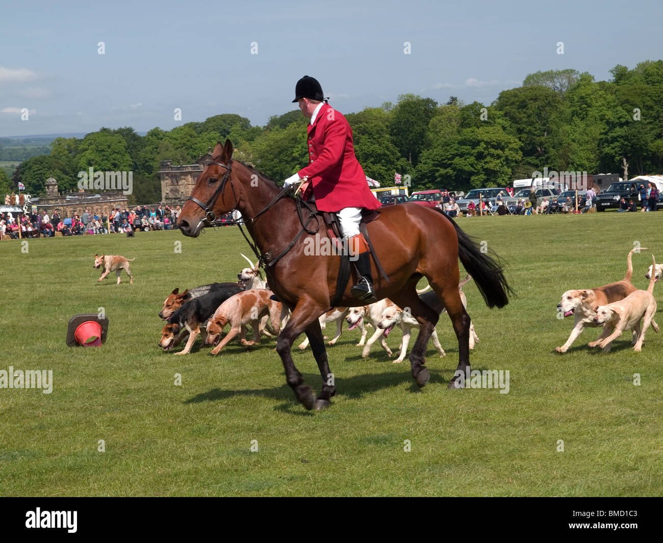 A rider from the Sinnington Hunt demonstrating hounds at a country fair ...