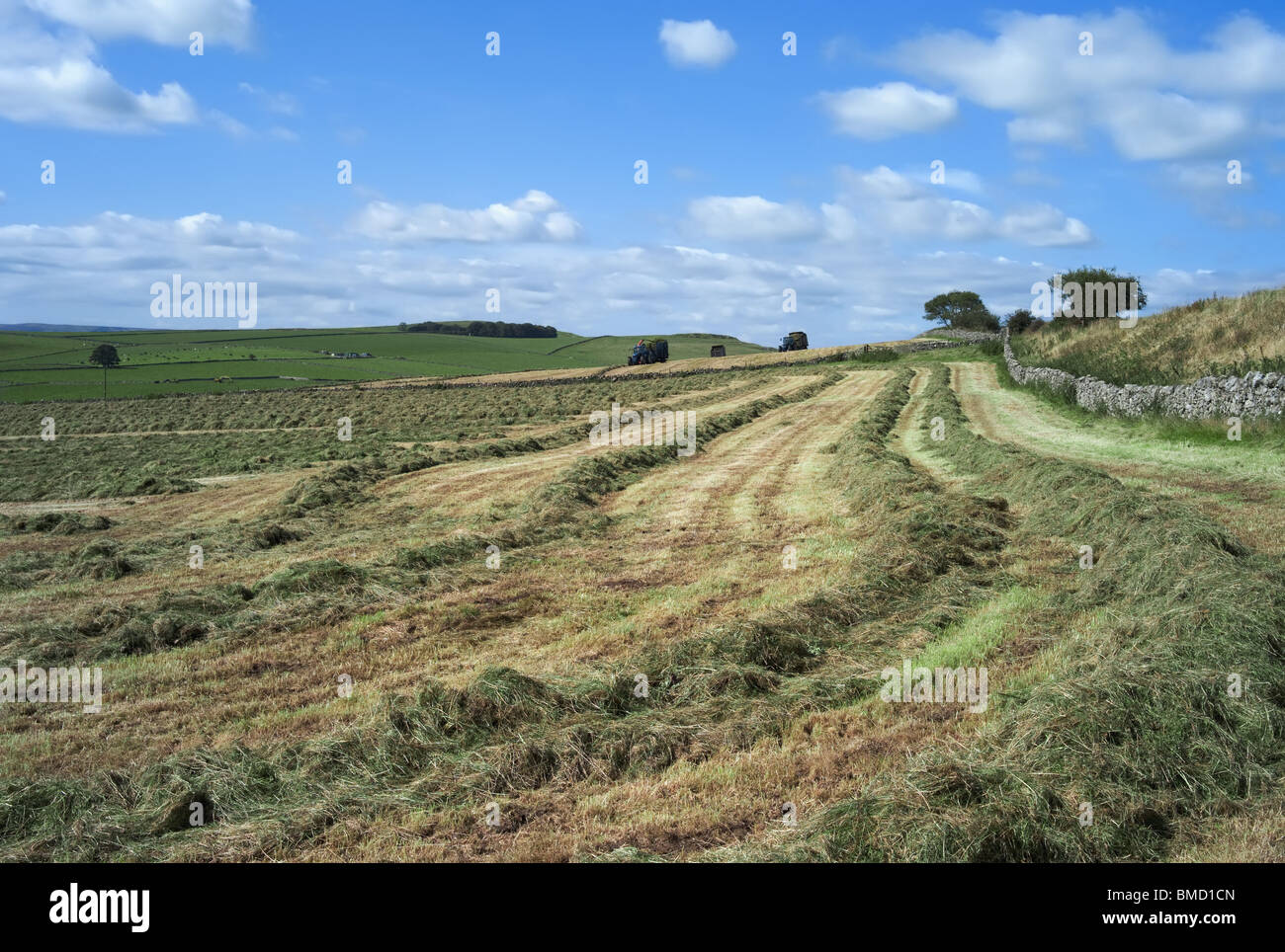peak district landscape with fields and dry stone walls Stock Photo - Alamy