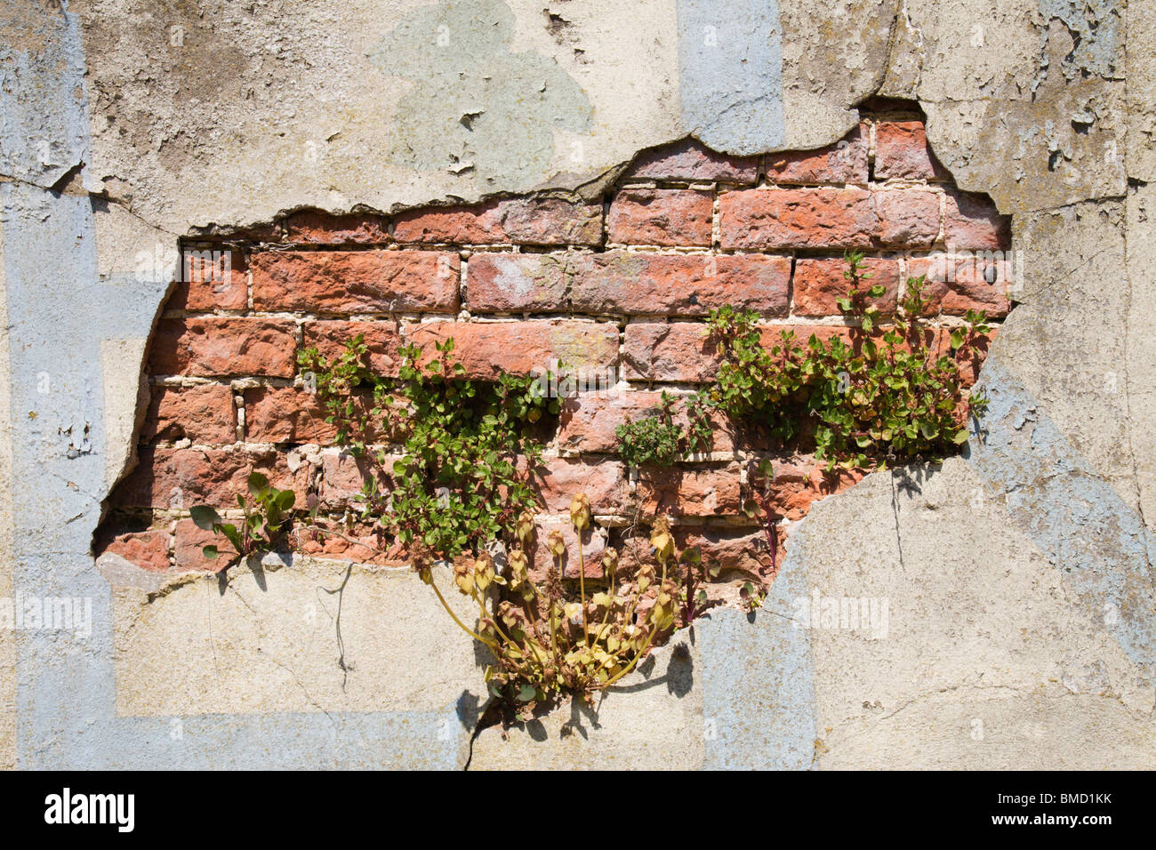 Rendered brick wall hi-res stock photography and images - Alamy