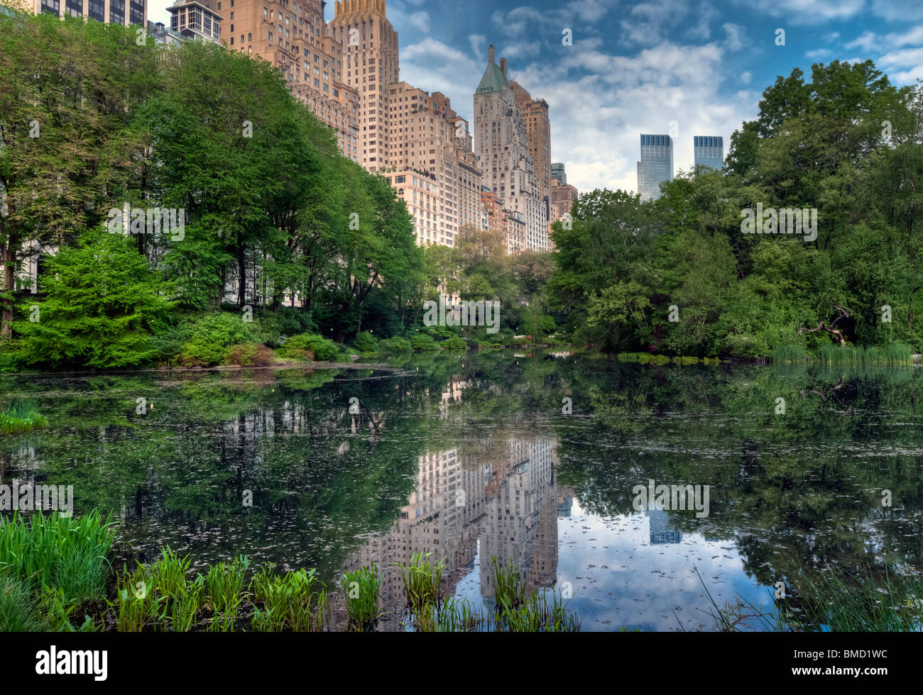 Spring at the pond in Central Park, New York City Stock Photo - Alamy