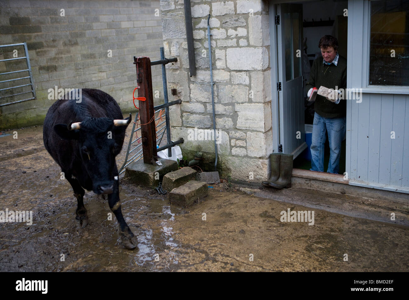 Farmer Jonathan Crump making traditional Single and Double Gloucester ...