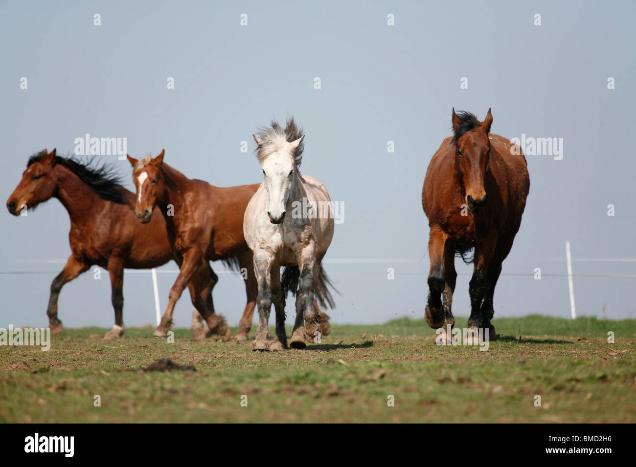 11200 hi-res stock photography and images - Alamy