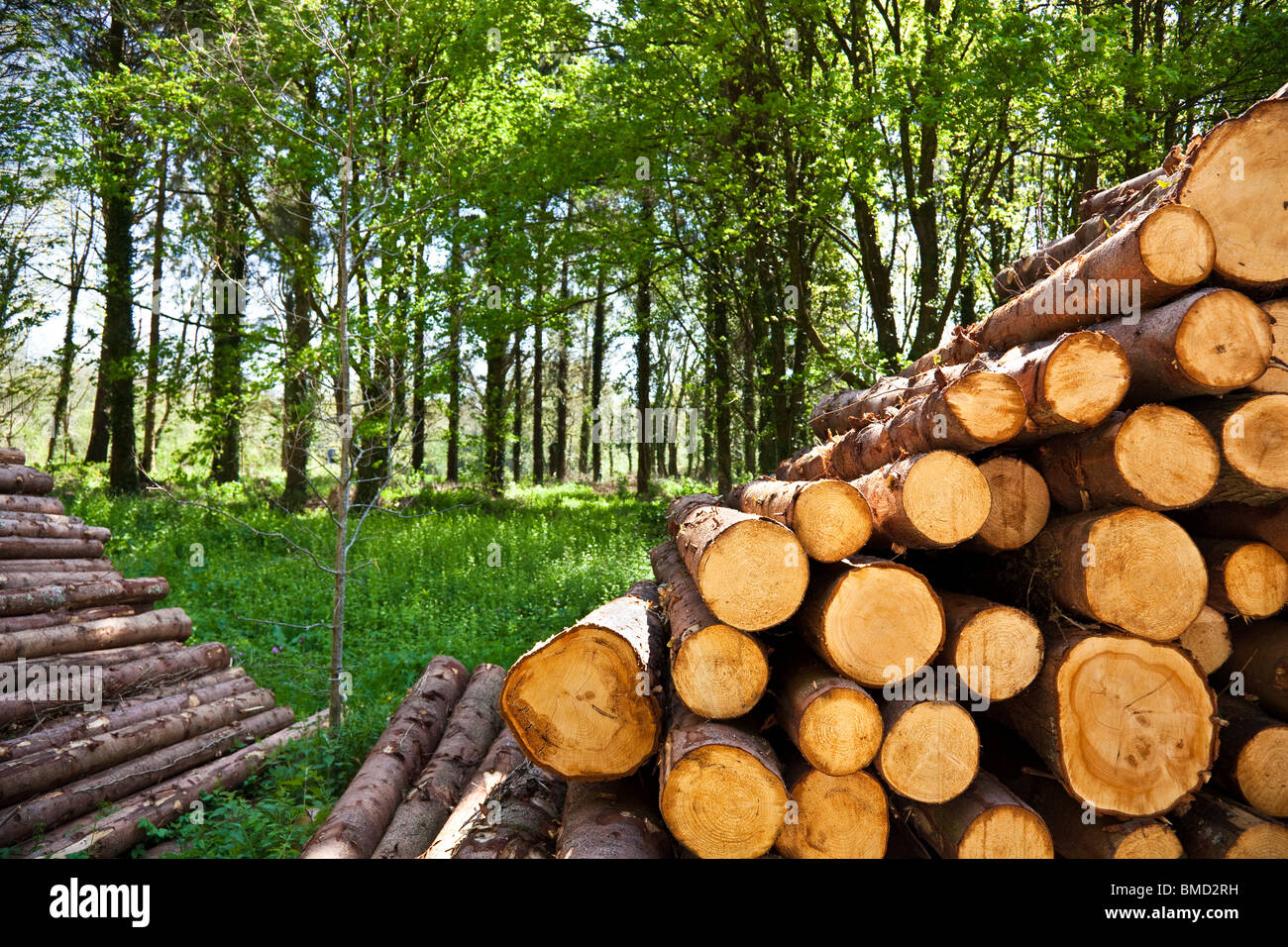 Burning stacks hi-res stock photography and images - Alamy