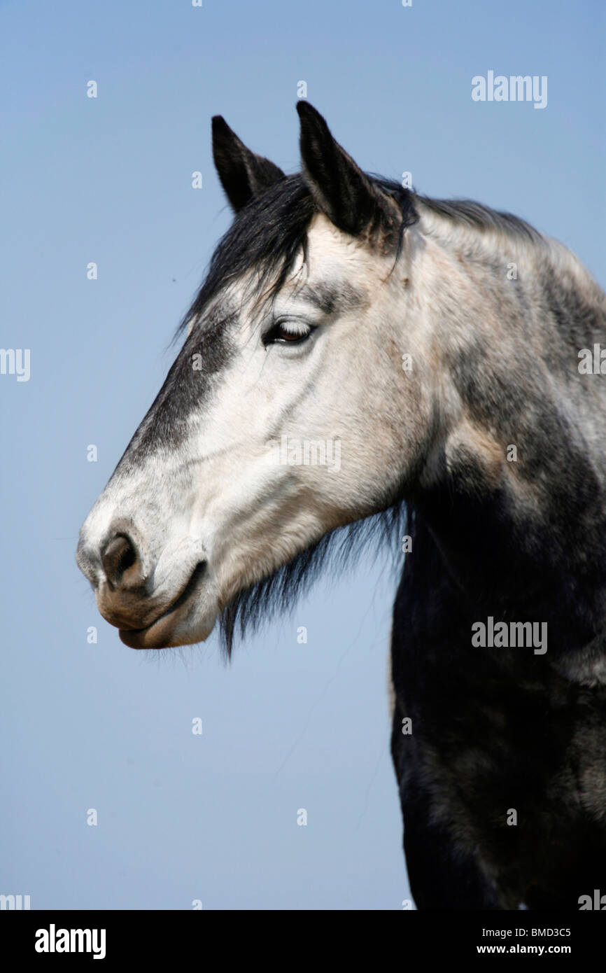 11233 hi-res stock photography and images - Alamy