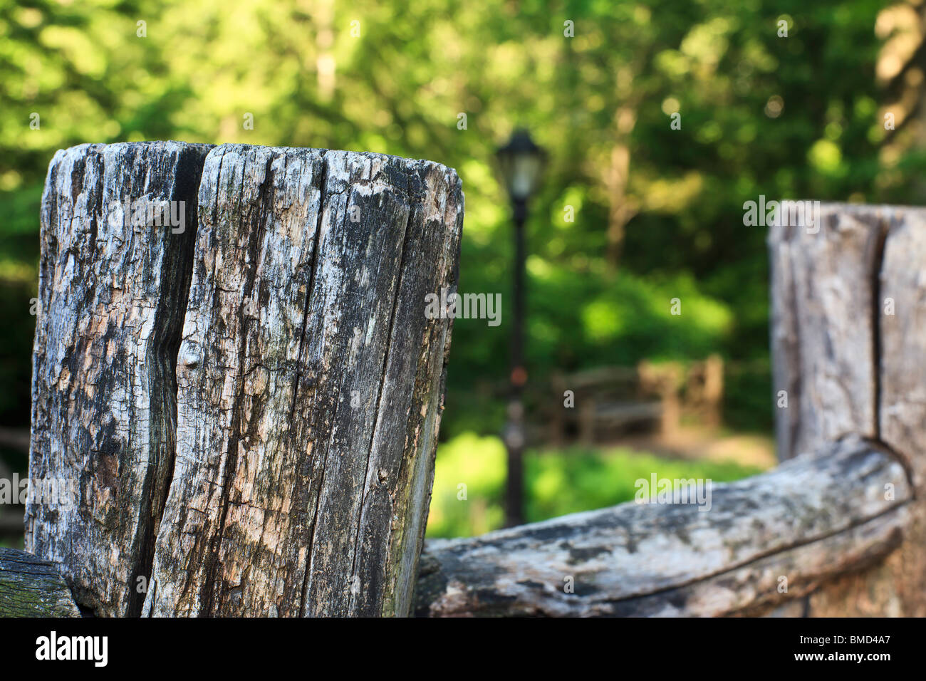 Shakespeares garden hi-res stock photography and images - Alamy