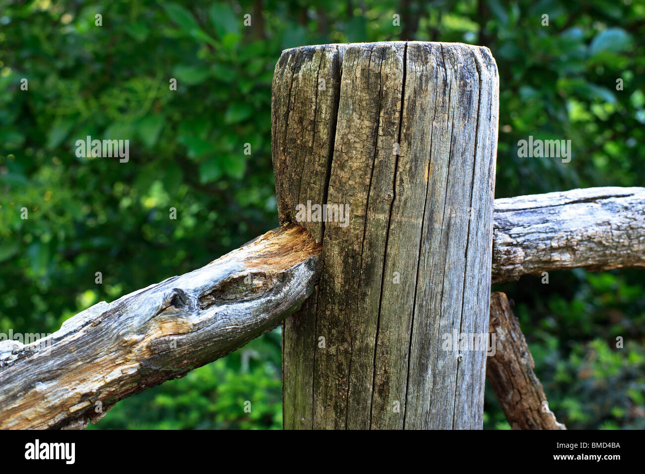 Shakespeares garden hi-res stock photography and images - Alamy