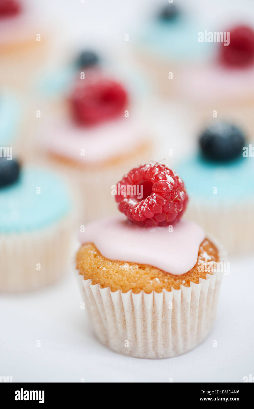Colourful blueberry and raspberry mini fruit cupcakes on a white ...