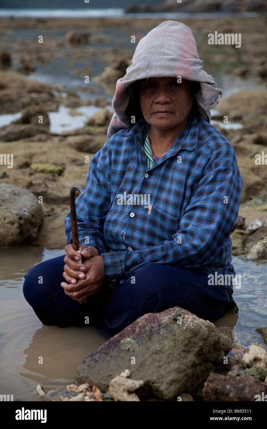 Sea shells collector hi-res stock photography and images - Alamy