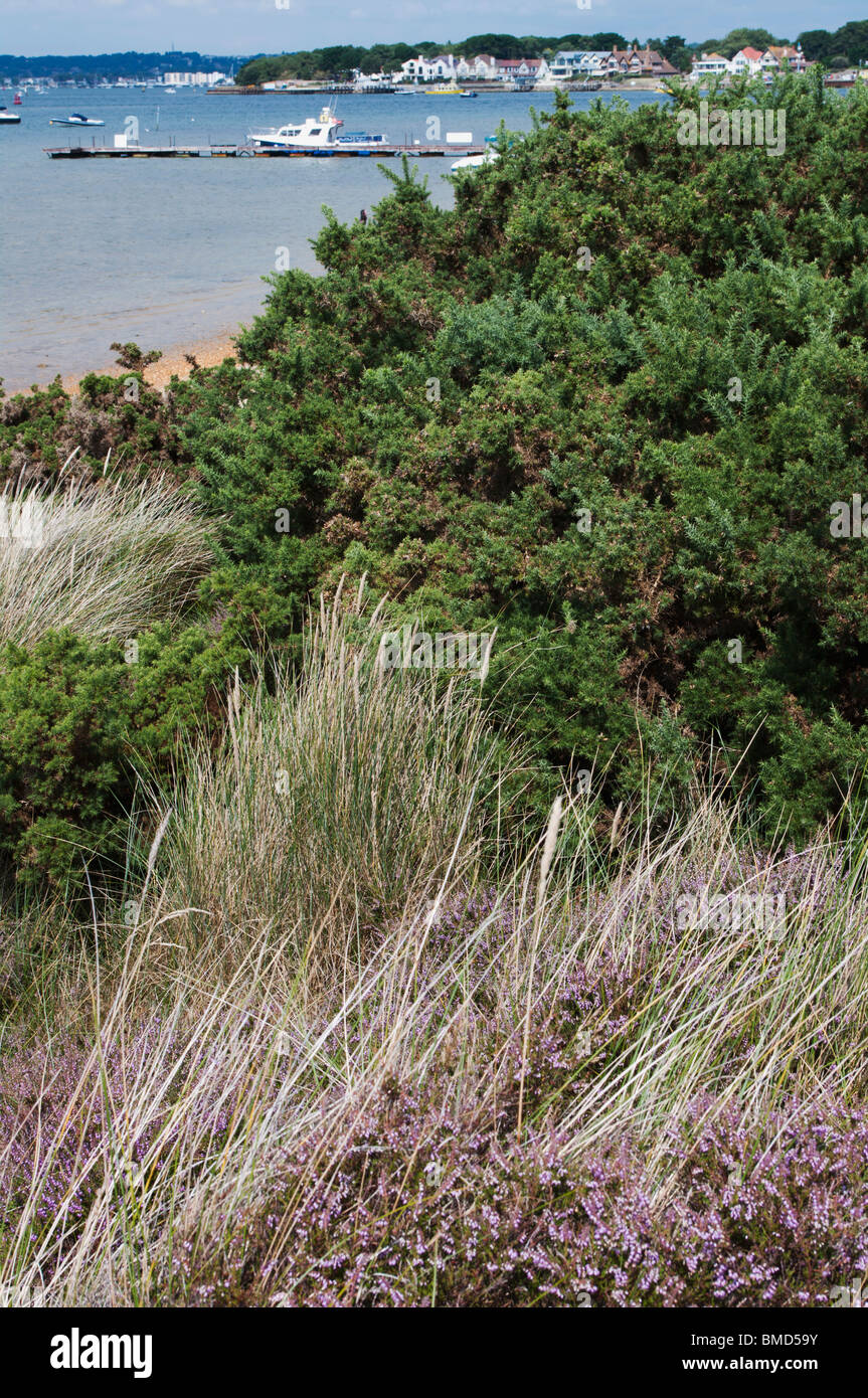 poole bay and harbour at the sea channel between studland beach and ...