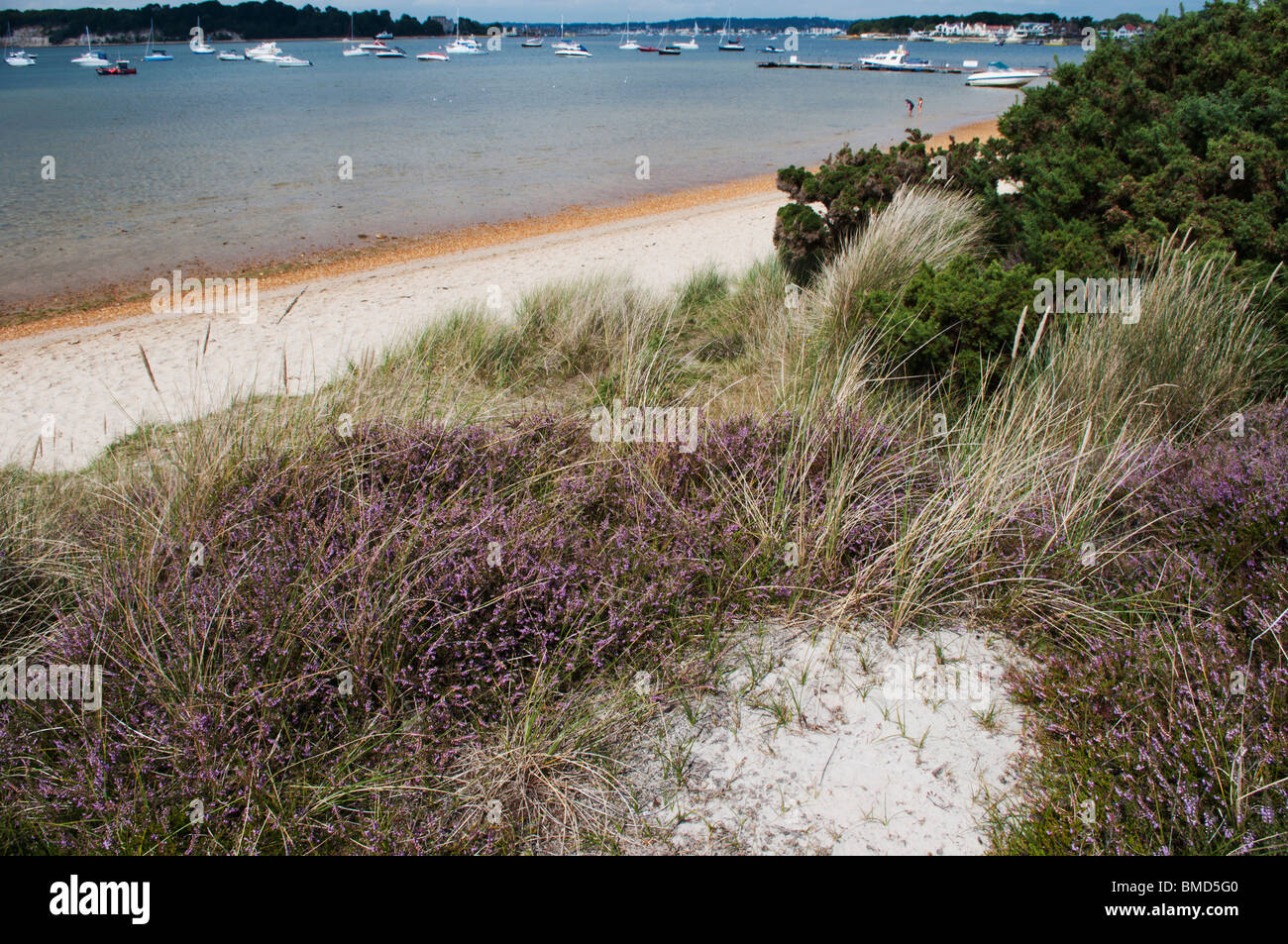 poole bay and harbour at the sea channel between studland beach and ...