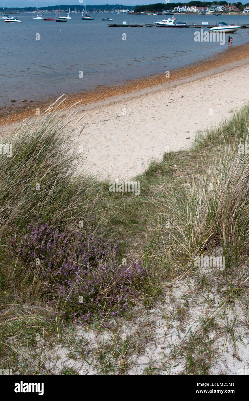 poole bay and harbour at the sea channel between studland beach and ...