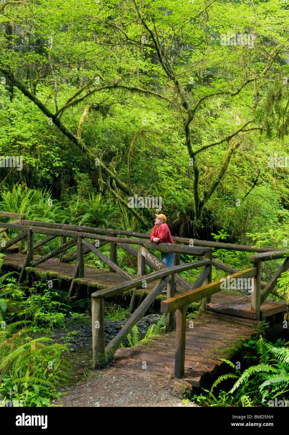 Redwood reserve hi-res stock photography and images - Alamy