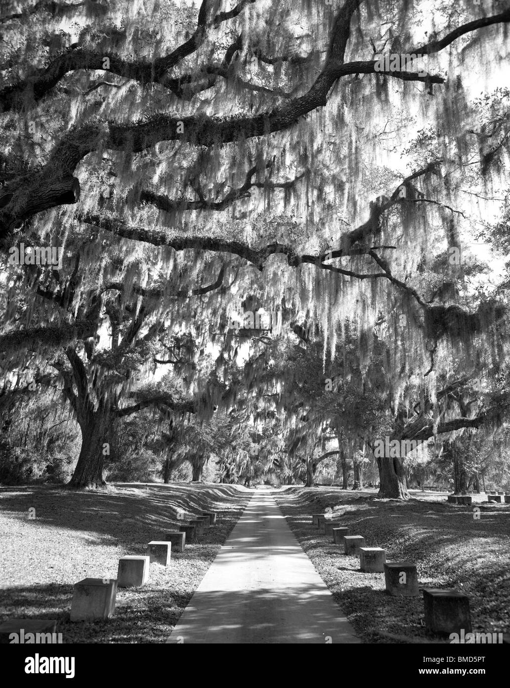 Plantation gardens Black and White Stock Photos & Images - Alamy