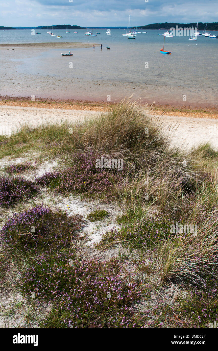 Poole harbour inlet hi-res stock photography and images - Alamy