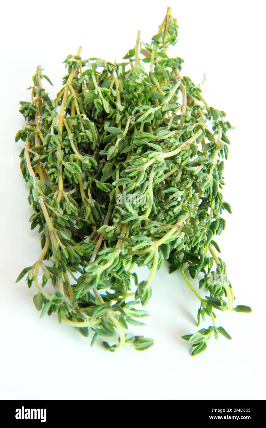thyme isolated on white background Stock Photo - Alamy