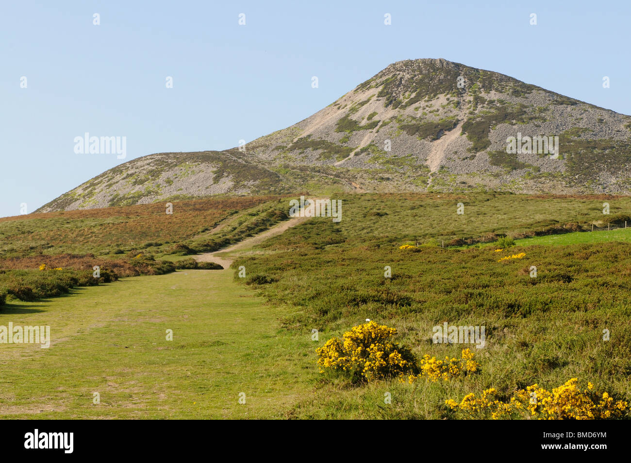 The Great Sugar Loaf Mountain south of Dublin in the Wicklow Mountains ...