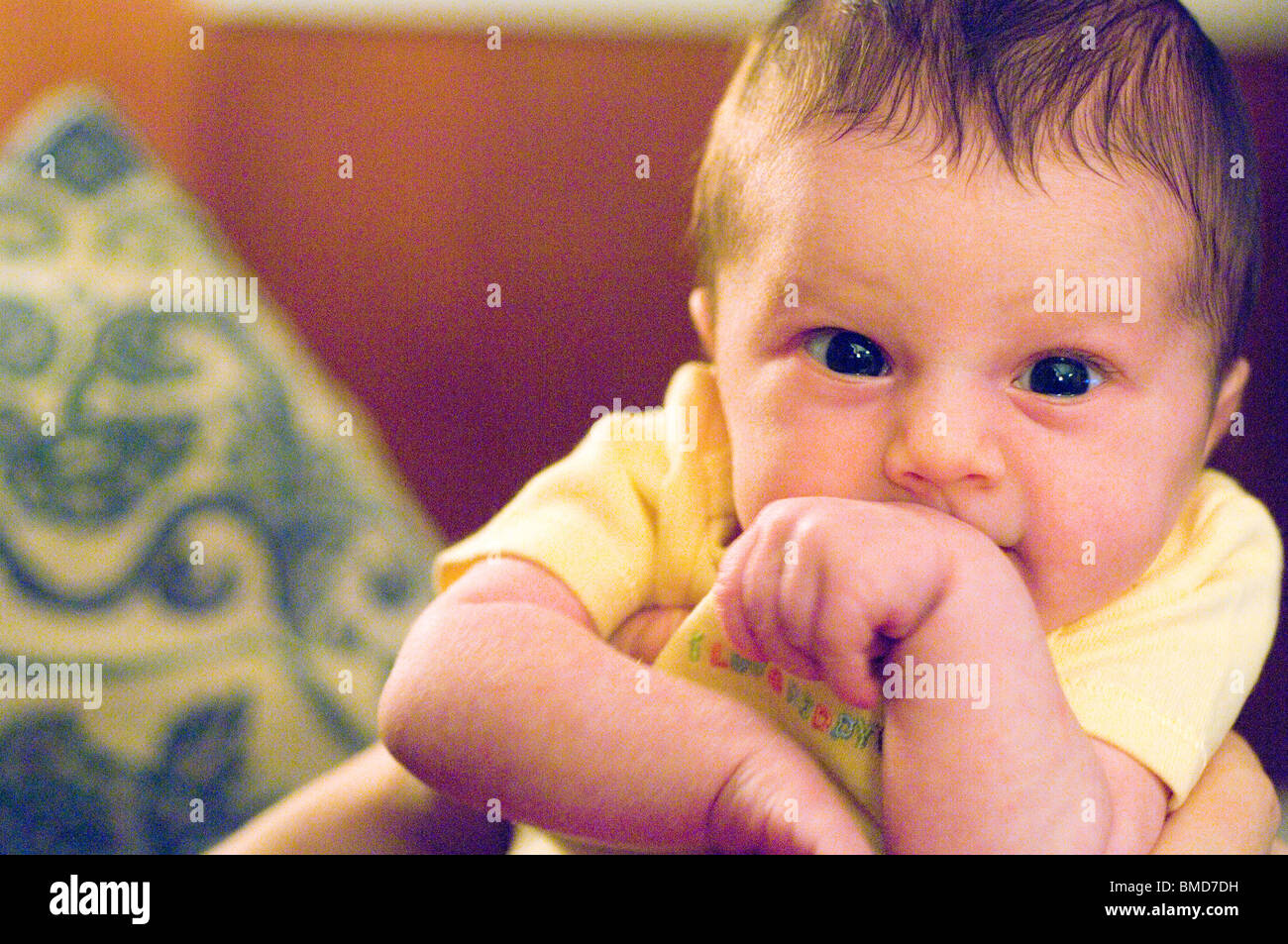 Chubby baby arm hi-res stock photography and images - Alamy
