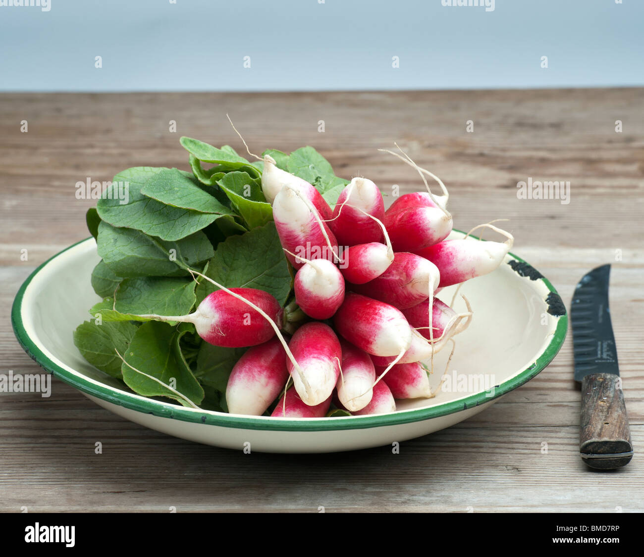 A Bunch Of Fresh French Breakfast Radish In A Enamel Dish, With A Knife ...