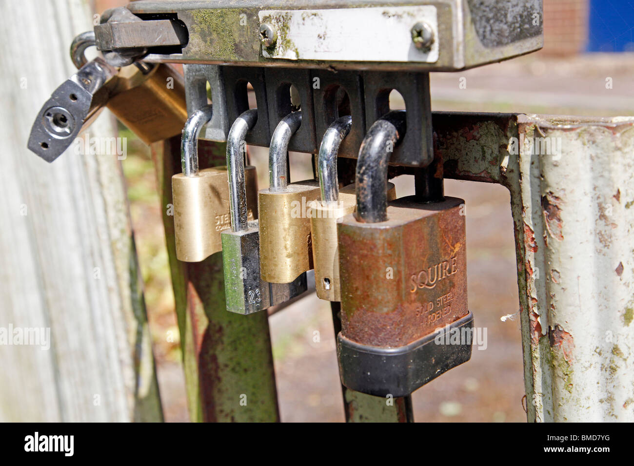 A large group of padlocks on a gate for security Stock Photo - Alamy