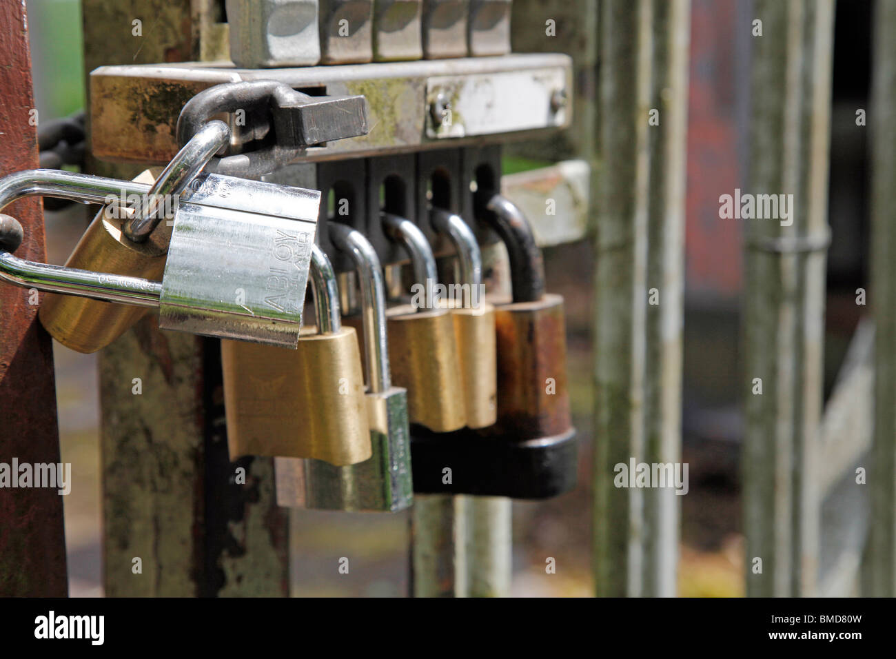 A large group of padlocks on a gate for security Stock Photo - Alamy