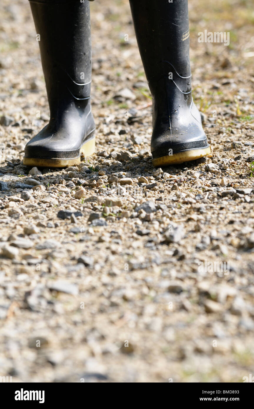 Stock photo of Wellington Boots Stock Photo - Alamy